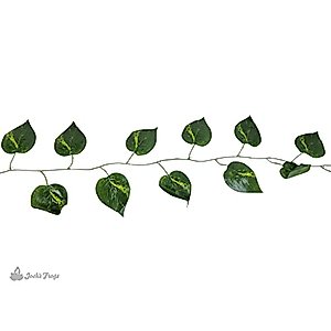 Josh's Frogs Artificial Evergreen Reptile Vine