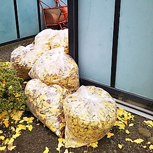 55 Gallon Clear Trash Bags, (50 Bags w/Ties) Large Clear Plastic Recycling Garbage Bags