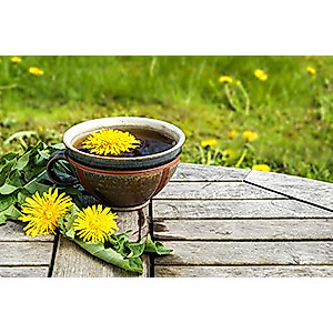 FGO Organic Dandelion Root Loose Tea, Resealable Kraft Bag, 16oz, Packaging May Vary (Pack of 1)