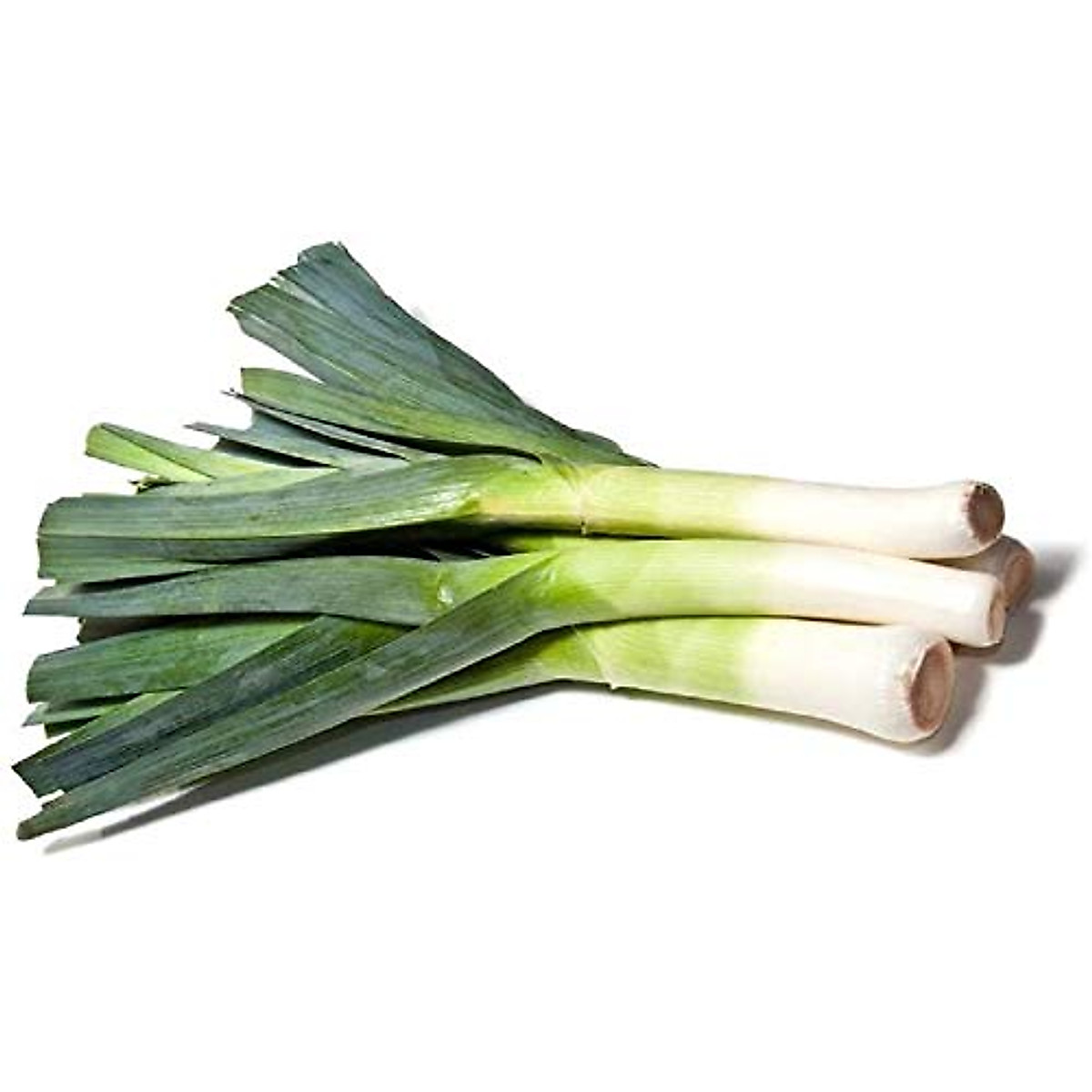 Leek Seed, American Flag, Non GMO, 100 Seeds, Heirloom Crisp Sweet Flavor Great Tasting, Perfect for Soups, Leak, Leaks, Leeks