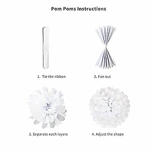 ANSOMO Red and Gold Happy Birthday Party Decorations with Banner Balloons Pom Poms Foil Fringe Curtains for Girls Women