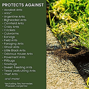 Natria 706710D Ant Barrier Insect Killer for Organic Gardening, Granules