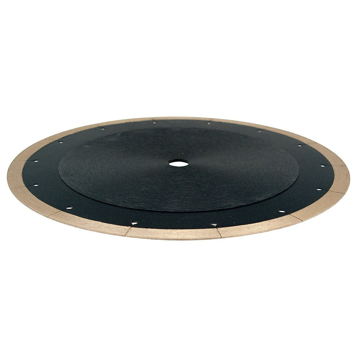 Lackmond Beast Pro Porcelain Saw Blade - 10" Hard Tile Cutting Tool with Thin Kerf Cutting Edge & 5/8" Arbor - BP10