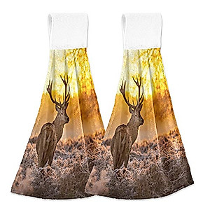 YYZZH Red Deer Antler in Morning Sun Woodland Kitchen Hand Towels with Hook & Loop Set of 2 Absorbent Bath Hand Towel Hanging Tie Towel