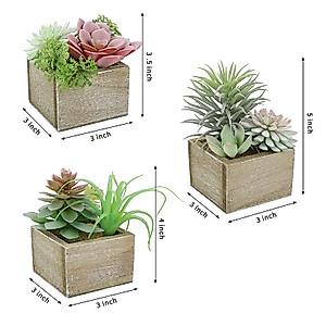 Mingfuxin Artificial Succulents Plants, Mini Assorted Green Fake Plants in Pots, Small Succulents Plants Artificial with Wood Potted for Bathroom Home Office Living Room Table Decor Indoor, Set of 3
