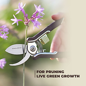 Winslow&Ross Garden Pruning Shears Set - 2 Pack, 1 Bypass Pruner+1 Anvil Pruner, Professional Garden Shears for Cutting Flowers, Bonsai, Fruits Picking