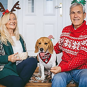 4 Pack Birthday Dog Bandanas - Classic Triangle Merry Christmas Printing Fall Plaid Xmas Pet Scarf Bibs Kerchief Gifts Set - Pet Holiday Accessories Decoration for Small to Large Puppy Dogs Cats