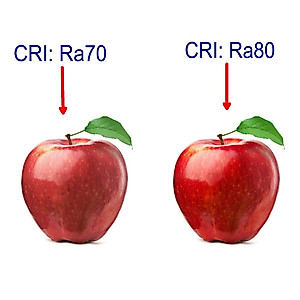 PAR38 LED Flood Light Bulb,Classic Glass,Bright White Light,18W(=70W-150W PAR38 Halogen Equivalent) LED Daylight 5000K,E26 Base,Indoor/Outdoor Waterproof IP65,120V,4-PACK