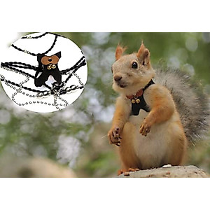 Squirrel Traction Rope Strap Anti-Biting Chain Rope, Adjustable Vest, Small Animal Walking Harness with Lead Leash with Free Collar for Hamster Gerbil Rat Mouse Ferret Chinchilla (Black with Blue)