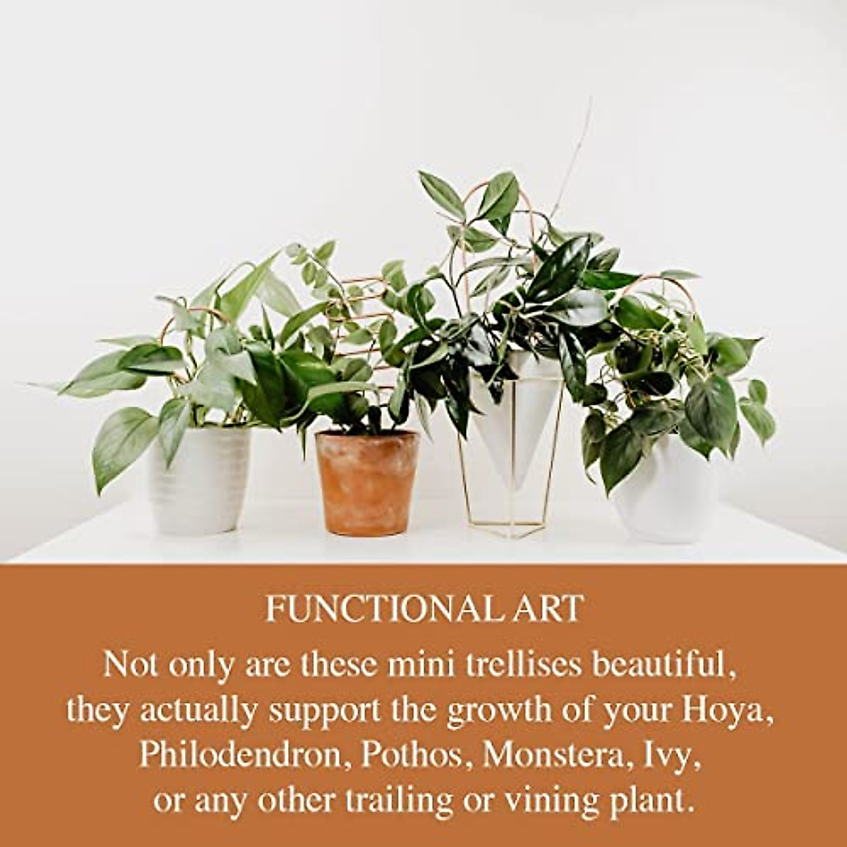 6Pcs Plant Trellis, Gold Trellis for Climbing Plants Indoor, Mini Trellis for Potted Plants Support Stake House Plant Trellis for Garden Potted Plant, Hoya, Pothos, Flower, Monstera