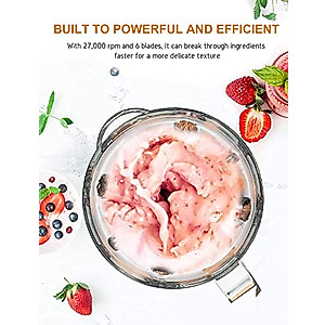 Smoothie Blender, 750W Smoothie Maker, with 2 Adjustable Speed and Pulse Functions, Kitchen Blender with 48 oz Tritan Glass Jar for Milkshakes, Smoothies, Crushed Ice and Frozen Fruit