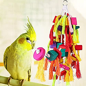 Rypet Large and Small Parrot Chewing Toys - Parrot Cage Bite Toys Wooden Block Tearing Toys for Conures Cockatiels African Grey and Other Amazon Parrots