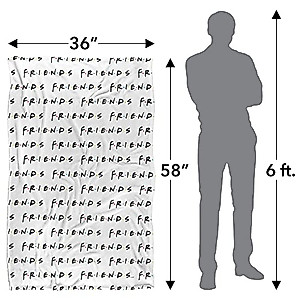 Friends Logo Repeat Silky Touch Super Soft Throw Blanket 36" x 58"