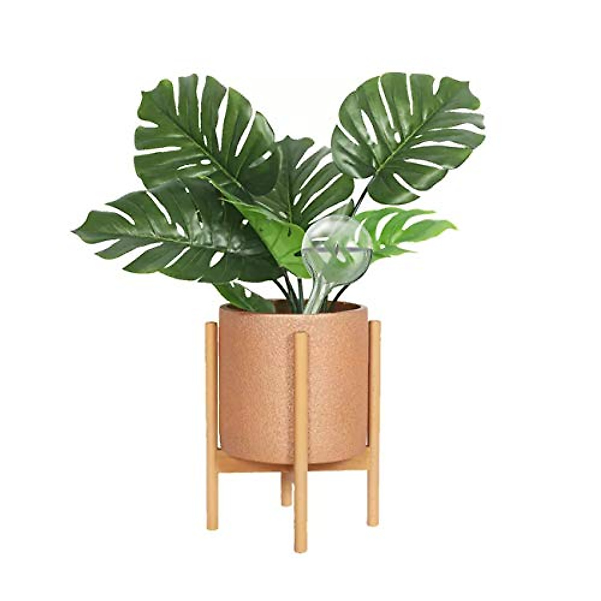 Gddochn 6 Pack Plant Self-Watering Bulbs,Clear Garden Watering Globes,Automatic Water Device for Plants,Indoor Outdoor Decor