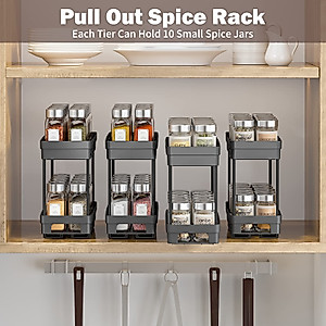 DABIGE 3 Packs Pull Out Spice Rack Organizer for Cabinet, Slide Out Spice Racks Organizer, Easy to Install Spice Cabinet Organizers, 4.33''Wx10.4''Dx8.5''H, Each Tier Hold 10 Spice Jars - 2 Tier