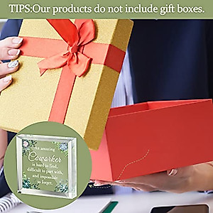 Yulejo Going Away Gifts for Coworkers Women Retirement Plaque Goodbye Best Boss Colleague Acrylic Coworker Leaving Keepsake Paperweight Men Healthcare Worker(Greenery)