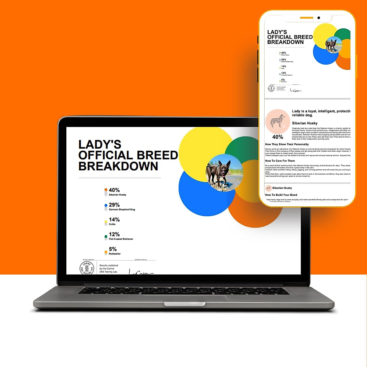 Dna My Dog Premium Test – Premium Breed ID Over 300 Breeds Plus Genetic Age Test, Wolf/Coyote DNA and Mixed Breed Identification, Non-Invasive Cheek Swab for Puppies to Adult Dogs