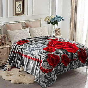 JYK Korean Style Mink Fleece Blanket 75"x87", 5 LB - 2 Ply Reversible 520GSM Silky Soft Plush Warm Blanket for Autumn Winter (Queen, Grey/Red Rose)