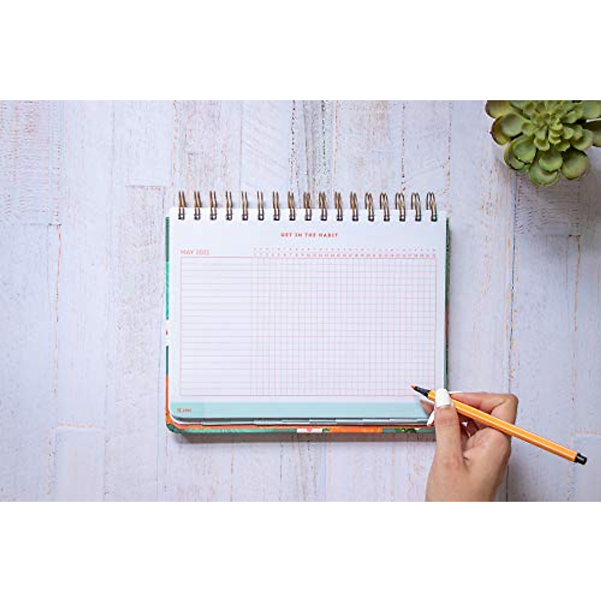 Posh: Deluxe Organizer 17-Month 2020-2021 Monthly/Weekly Planner Calendar: So Much Gratitude