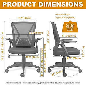 TTD TIANTIANDA Mesh Ergonomic Home Office Computer Desk Chair with Flip Up Armrests and Lumbar Support for Adult