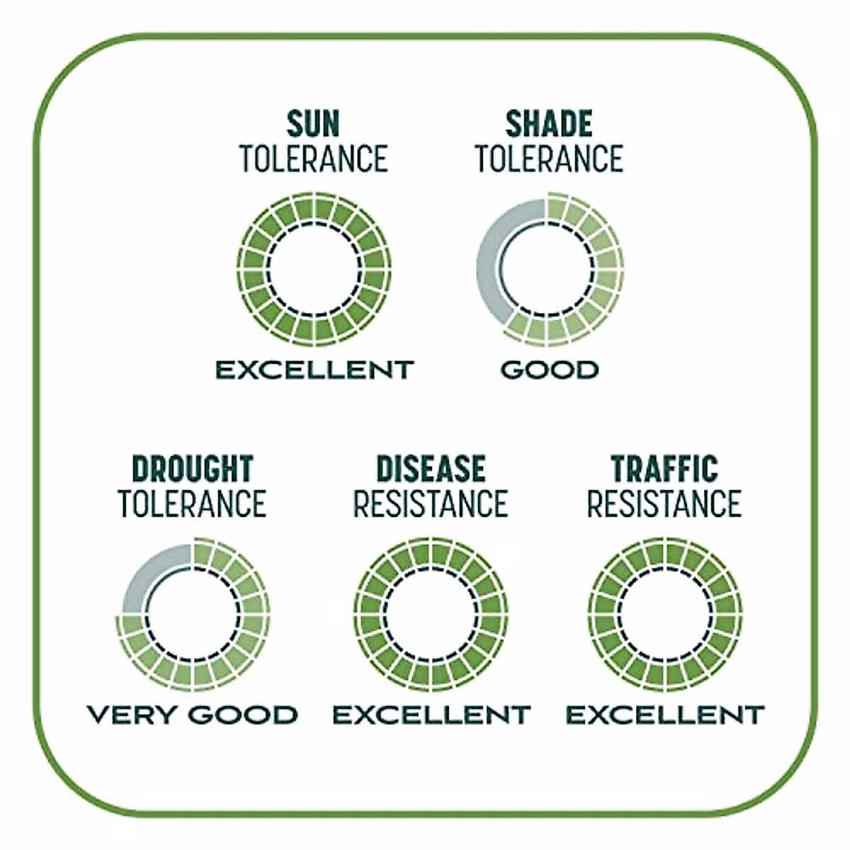 Pennington Smart Patch Tall Fescue Mix Jug 5 lb