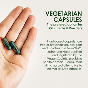 Capsuline Spirulina Colored Size 0 Empty Vegan Capsules Blue/Blue - 100 Count - Vegetarian Empty Pill Capsuless - DIY Vegetable Capsule filling - Veggie Pill Capsules - Kosher and Halal Certified