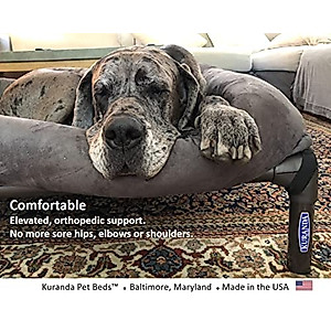 Kuranda Elevated Indoor Bed - Walnut PVC - X-Large - 44" x 27" - Cordura - Burgundy