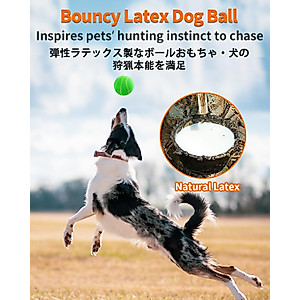 SCHITEC Squeaky Dog Toys, [4 Pack] Interactive Dog Balls with Squeaker for Medium Dogs, 2.8'' Soft Latex Rubber Bouncy Fetch Play Ball Toy