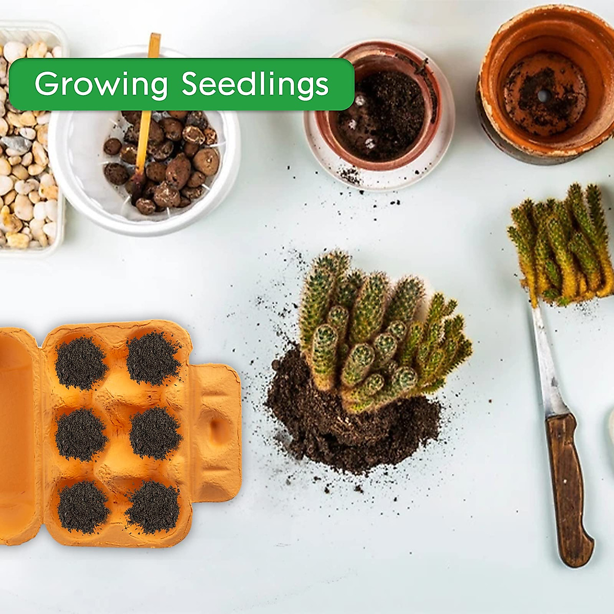 6 Count Egg Cartons for Chicken Eggs 20 Pack with Labels, Natural Pulp Paper Eggs Cartons Holds Bulk Blank Colorful Reusable Cardboard Pulp Egg Tray Half Dozen Egg Storing Cartons for Family Gifts