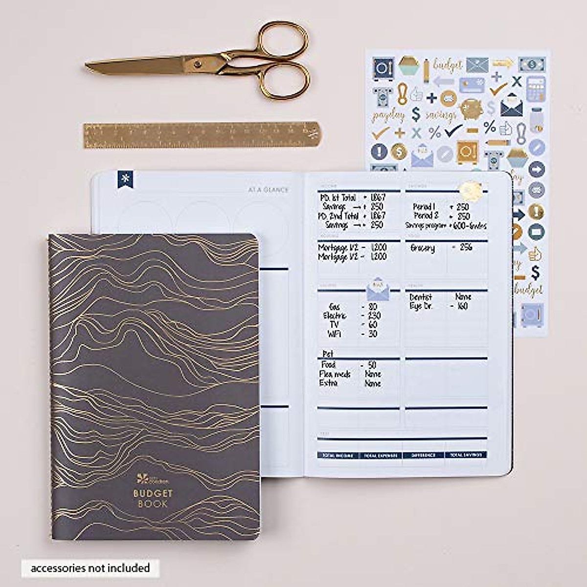 Erin Condren Designer Petite Planner - Budget Book Edition 4. Includes Spending Habit Summary, Income and Saving Tracking, and Bill Tracking. Functional Stickers