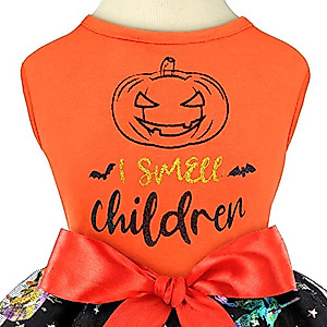 Malier Halloween Dog Costumes, I Smell Children Halloween Dog Tulle Dress Dog Clothes, Holiday Theme Costume Dress with Pumpkin Bat for Puppy Small Dogs and Cats (Small, Orange+Black)