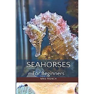 Seahorses For Beginners