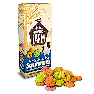 Supreme Gerty Scrummies Apple Strawberry Healthy Baked Bites For Guinea Pig 4.2Z