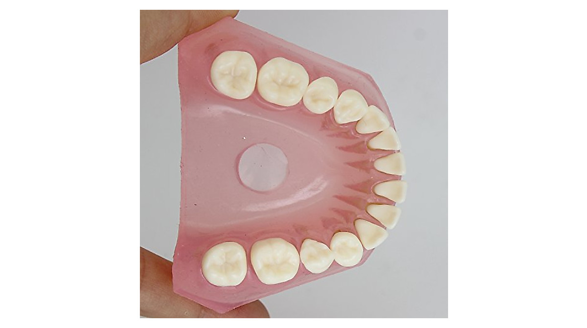 Dental Implant Model for Training and Teaching