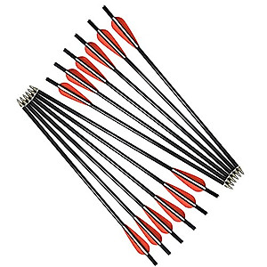 NIKA ARCHERY 12X 16 Crossbow Bolts Fiberglass Arrows with Flat Nock for Outdoor Hunting