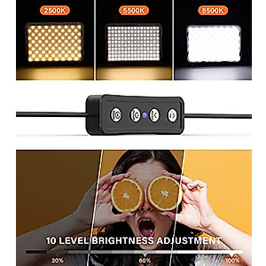 2 Pack LED Video Photography Lighting Kit with 62.99'' Tripod Stand, Unicucp 2500-8500K Dimmable Studio Streaming Light for Video Recording Filming, Live Game YouTube, Portrait Shooting, USB Charger