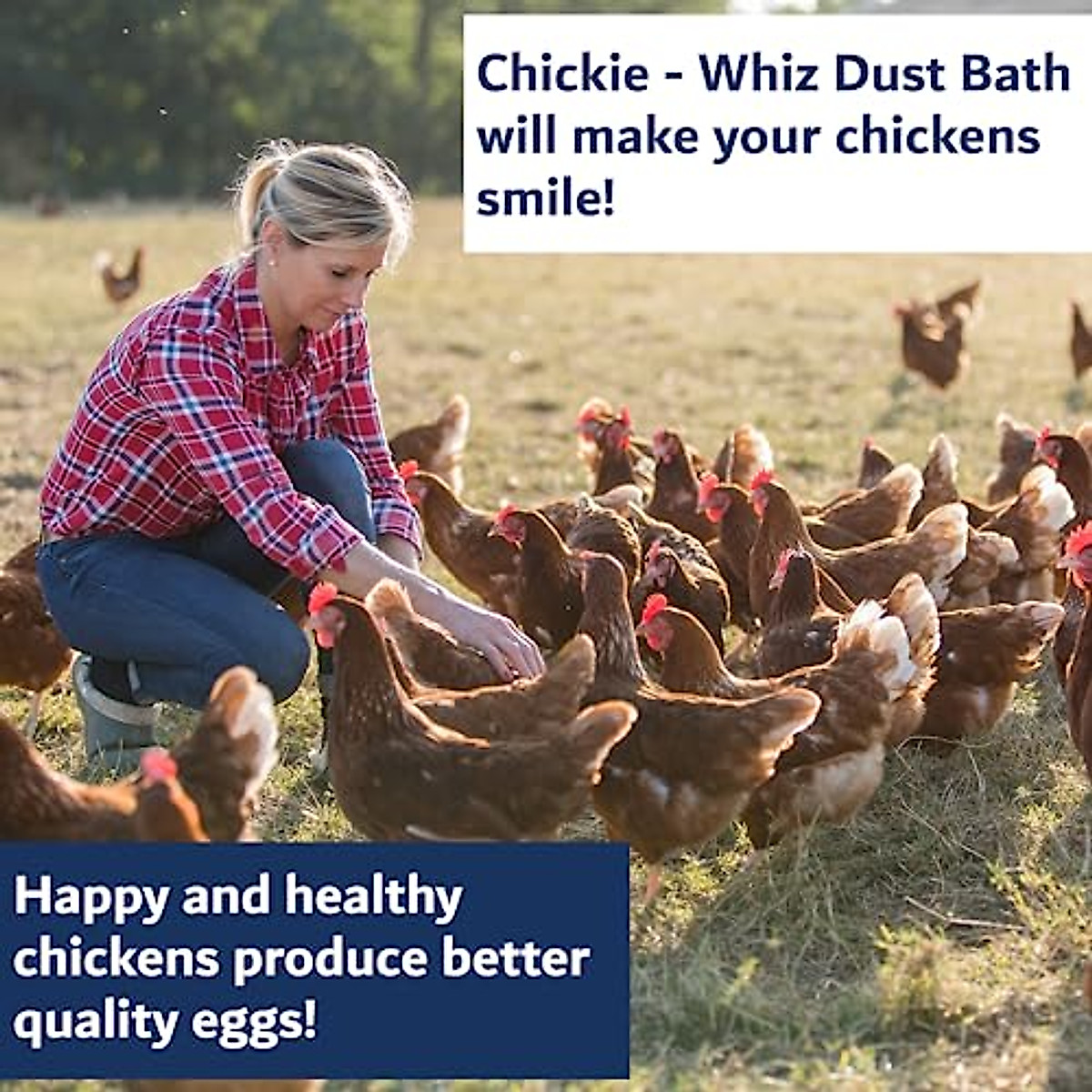 Chickie Whiz Dust Bath 5.5lb, Chicken Dust Bath, Dust Bath for Chickens for Healthy Chicken, Poultry Dust, Chicken Bath, Dust for Chickens, Chicken Coop Accessories, by Billy Buckskin Co.