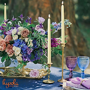 12 Pack Tall Taper Candles - 14 Inch Ivory Dripless, Unscented Dinner Candle - Paraffin Wax with Cotton Wicks - 12 Hour Burn Time