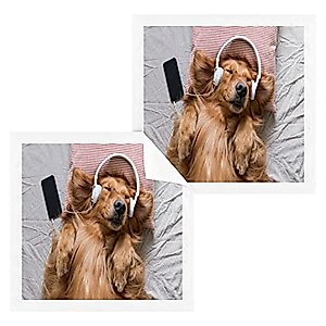 KEEPREAL 2 Pack Golden Retriever Dog Washcloths Set - Highly Absorbent Pure Cotton Wash Clothes - Soft Fingertip Towel for Bath, Spa