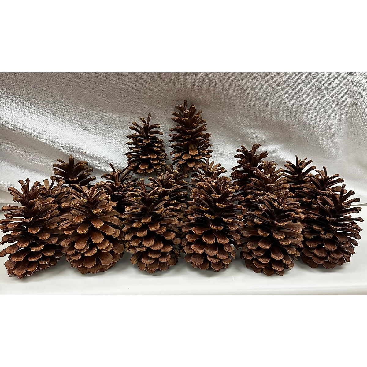 18-Pack Extra-Large (5 to 7 inch) Long Leaf Pine Cones for Decorating Home, Tables, Vase Fillers, Corporate Events, Crafts, Birdfeeders, Natural Pine Cone Holiday Ornaments. (unscented)