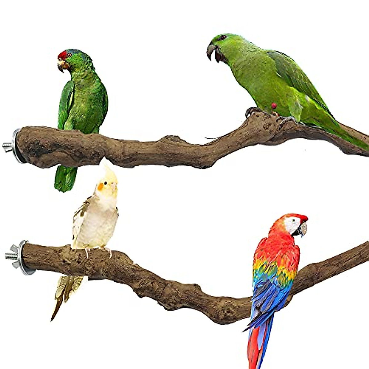 Seasonsky 8 PCS Natural Grape Stick Fork Bird Perch Bird Standing Stick Chewing Bird Toys Natural Grapevine Bird Cage Perch for Parrot Cages Toy for Cockatiels, Parakeets, Finches