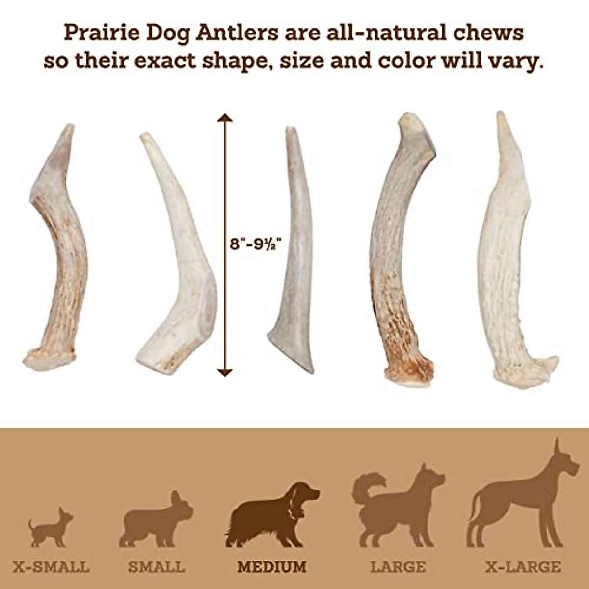 Prairie Dog Pet Products Deer Large Antler Treat, 8-9"
