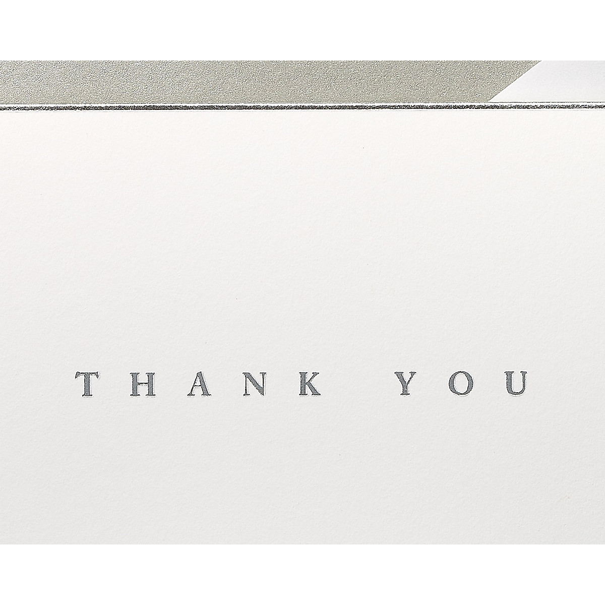 Papyrus Thank You Cards with Envelopes, Silver Border (16-Count)