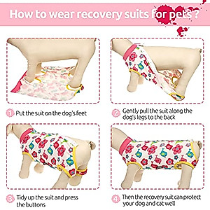 Gorsbark Dog Recovery Suit Cat Pet Surgical Suit After Surgery Breathable Substitute E-Collar & Cone Professional Protective Shirt for Abdominal Wound