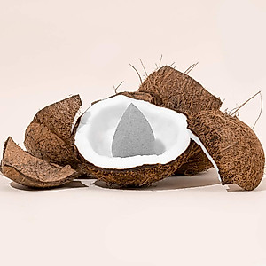 Snow Fox Ultra Soft Coconut Eco Make Up Blender