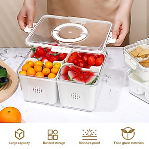Dualshine Airtight Fruit Storage Containers for Fridge with lid and Handle,4 Removable Colanders,Food Storage Container for Fruit, Vegetables,Fresh Produce Saver,Great Refrigerator Organizer Bins