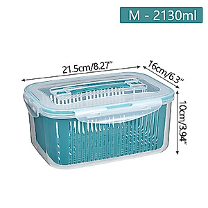 QBOMB Vegetable and Fruit Storage Container, Containers with Lid and and Removable Drain Basket,Containers for Fridge Berries Vegetable Wash, 5 Sizes, Food Grade Safe,2300ml
