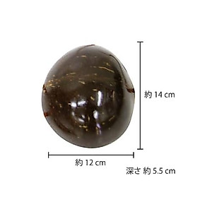 Amscan Coconut Party Bra, One Size | 6 Ct.