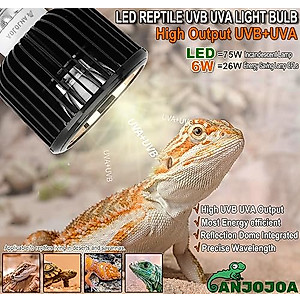 ANJOJOA UVB Reptile Light Bulb LED 6-Watt High UVB UVA Output 10.0 Bulb Reflection Dome Structure PSE Certification for Bearded Dragons Lizards Leopard Geckos Tortoises