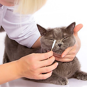 Aemygo 300 Pieces Cotton Swabs for Dogs, 6 Inch Pet Cotton Ear Buds for Puppy Long Qtips for Dogs Ear Cotton Buds Dog Ear Care Cotton Sticks for Apply Medicine, Clean Wound